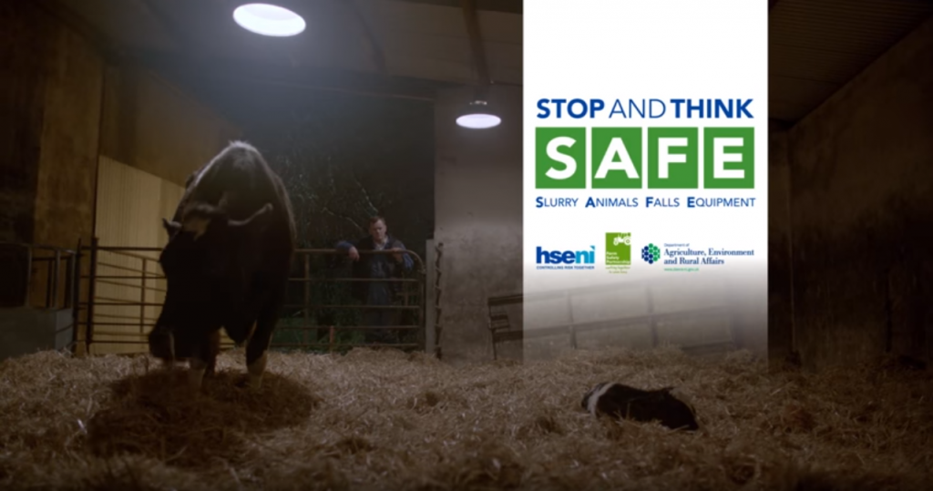 Chilling farm safety advert highlights the danger of freshly calved ...